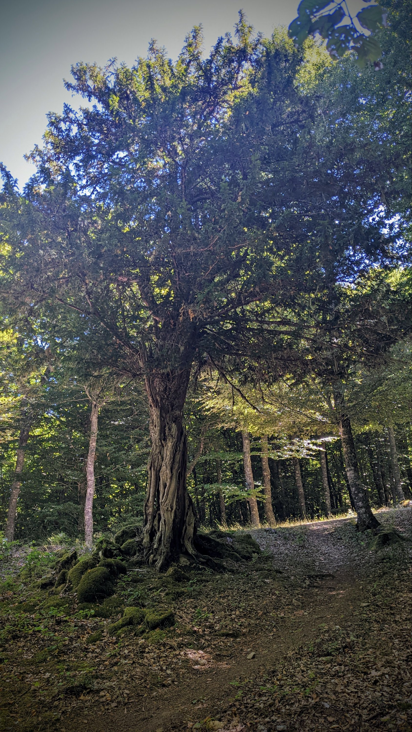 No todo es montaña. – Mi objetivo es luminoso