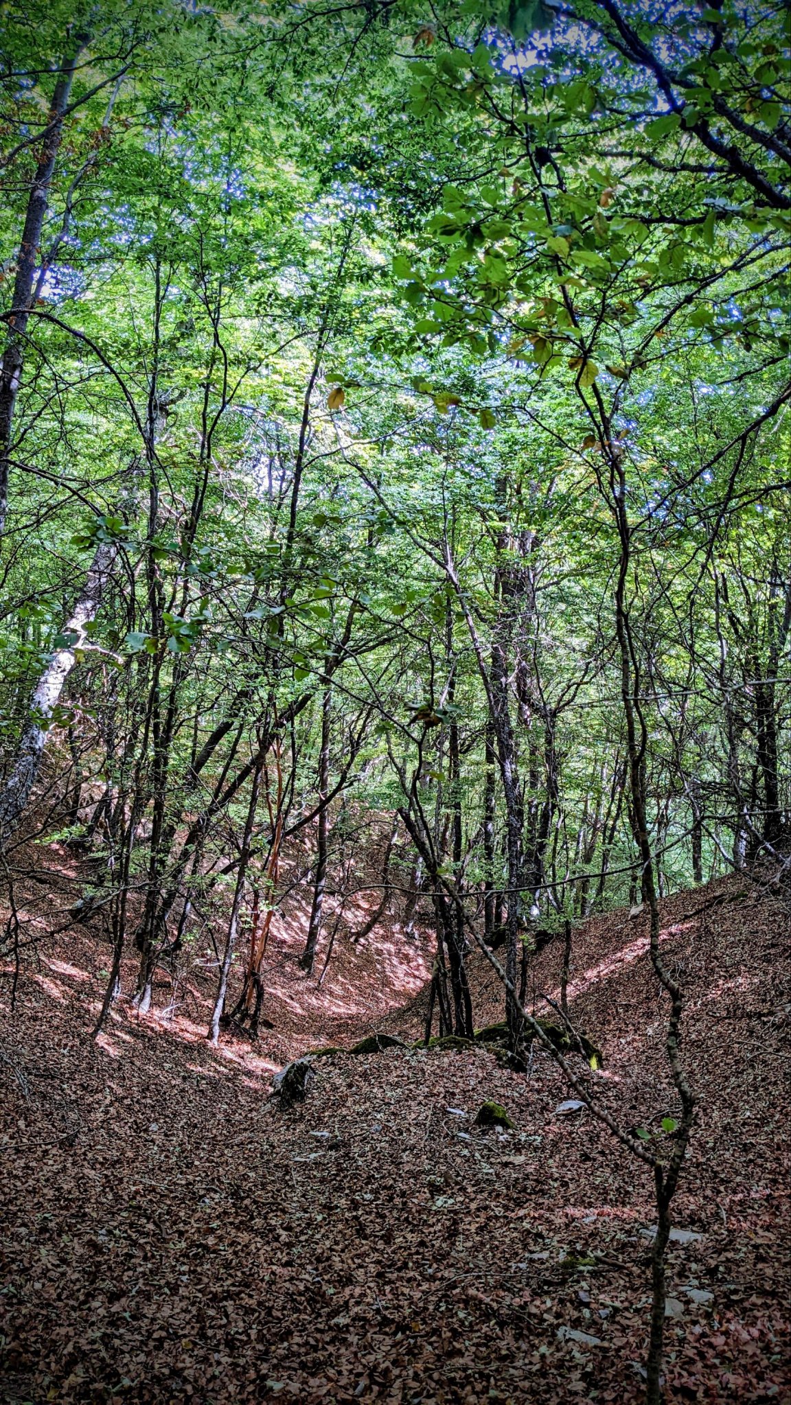 No todo es montaña. – Mi objetivo es luminoso