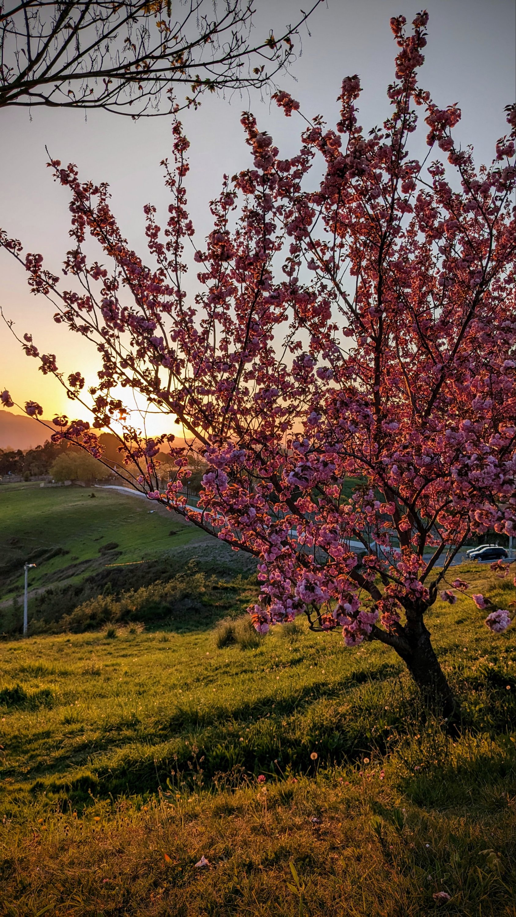 De vuelta. – Mi objetivo es luminoso