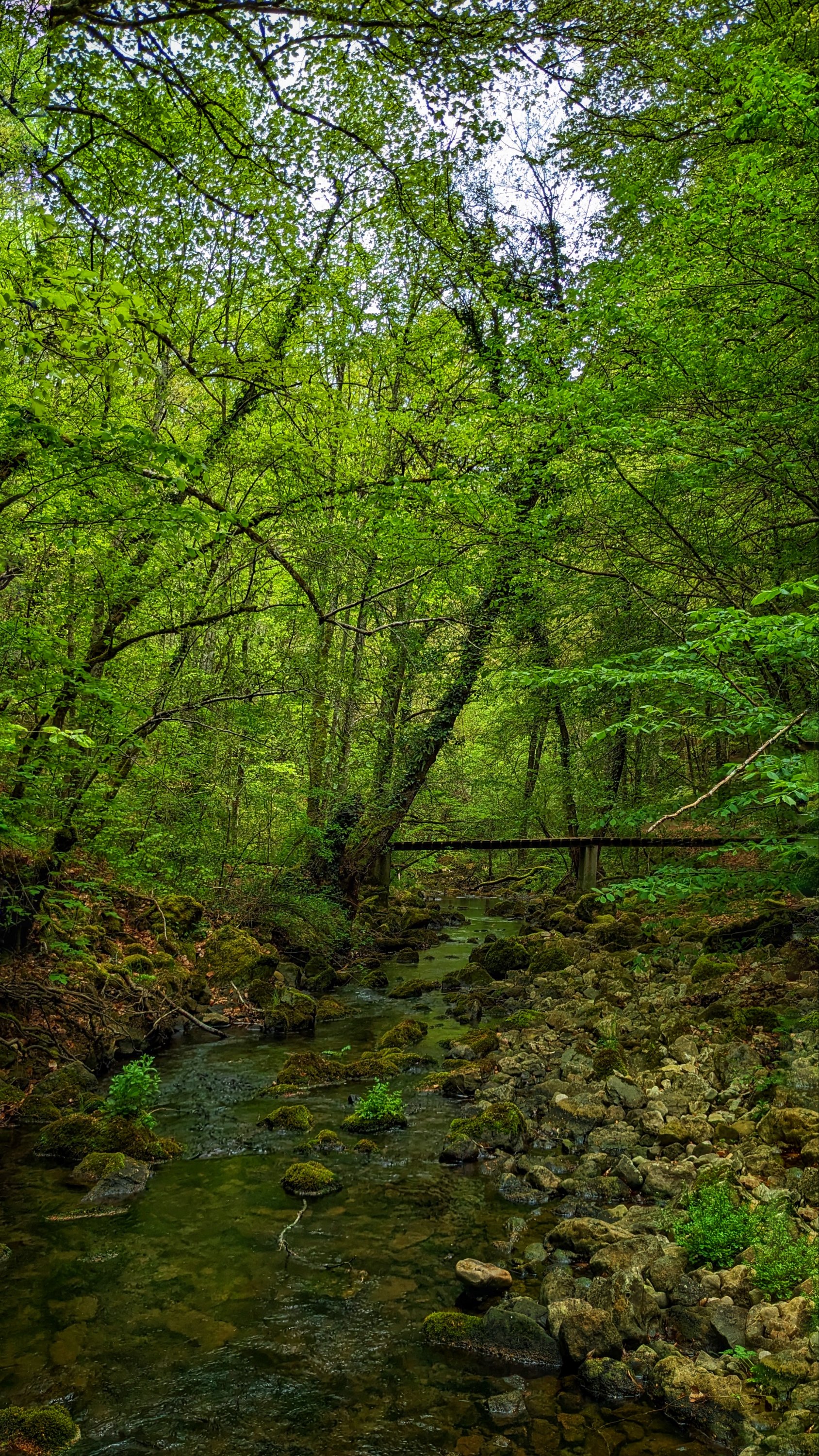 El fondo del valle. – Mi objetivo es luminoso