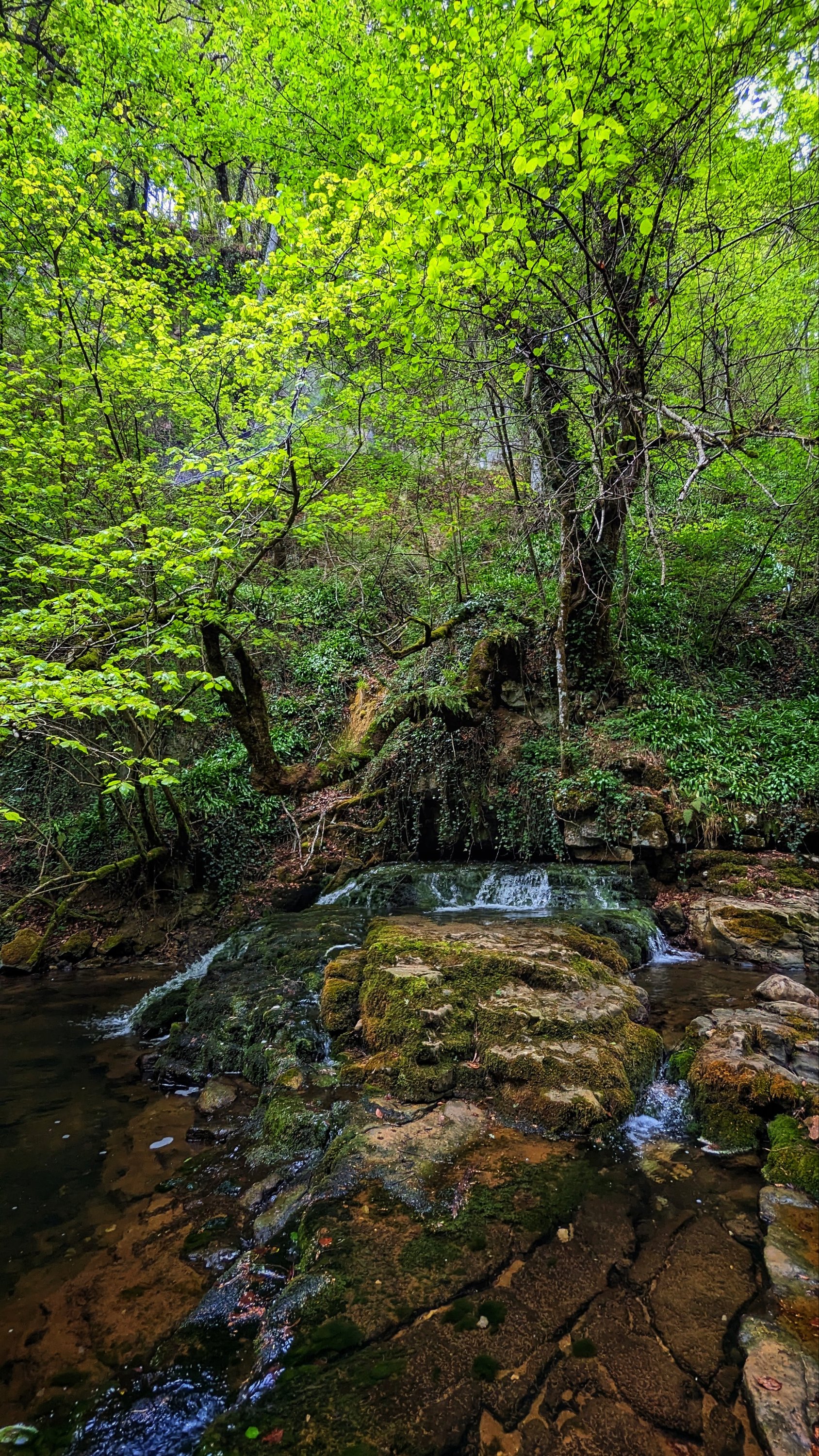 El fondo del valle. – Mi objetivo es luminoso