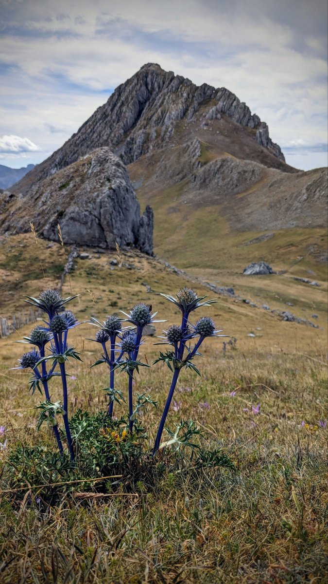 El primer plano. – Mi objetivo es luminoso