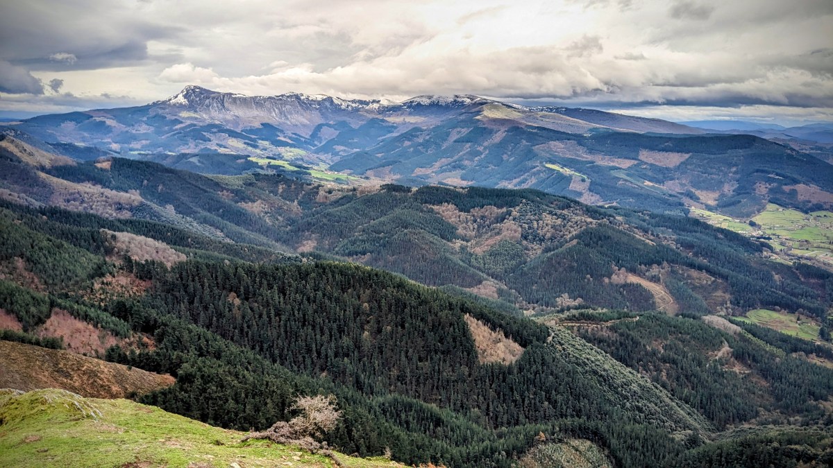 Arriba y abajo. – Mi objetivo es luminoso