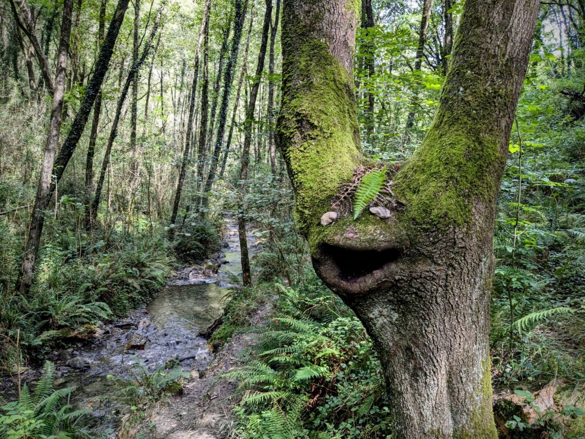 Sin noticias del otoño. – Mi objetivo es luminoso