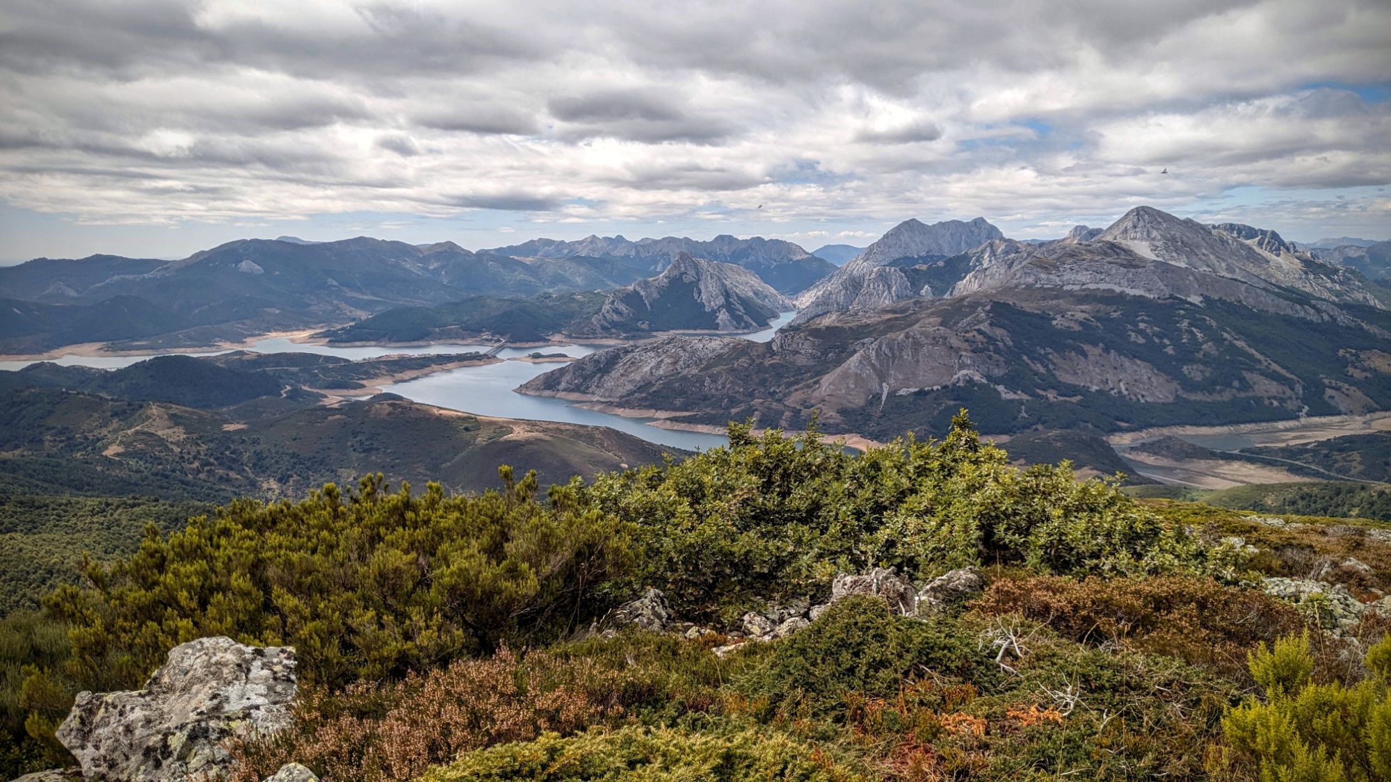 La erebia. – Mi objetivo es luminoso